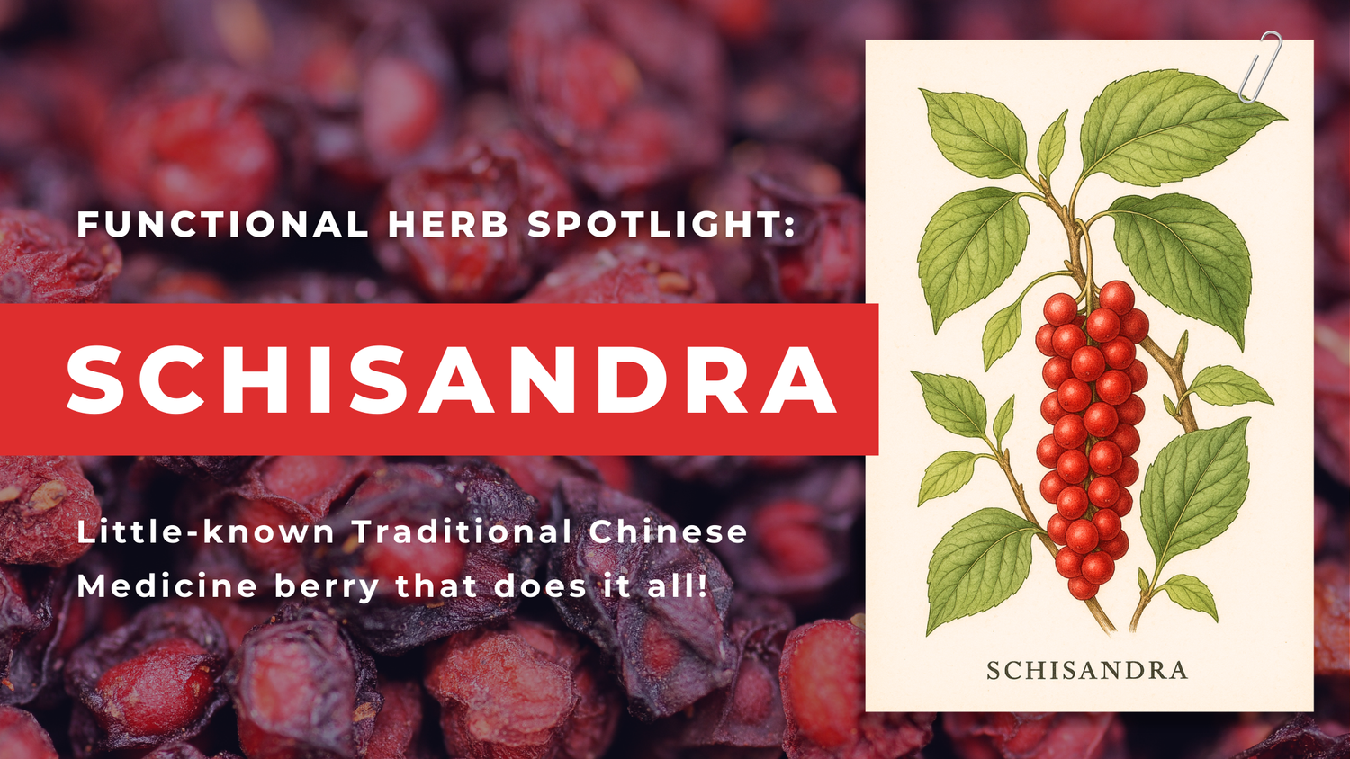 Schisandra: The TCM Berry That Does *Everything* – Dashatron Enterprises